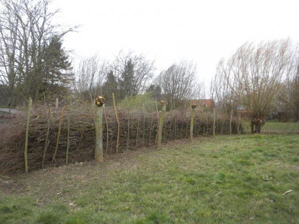 Nos astuces pour gérer vos déchets verts pendant le confinement ...