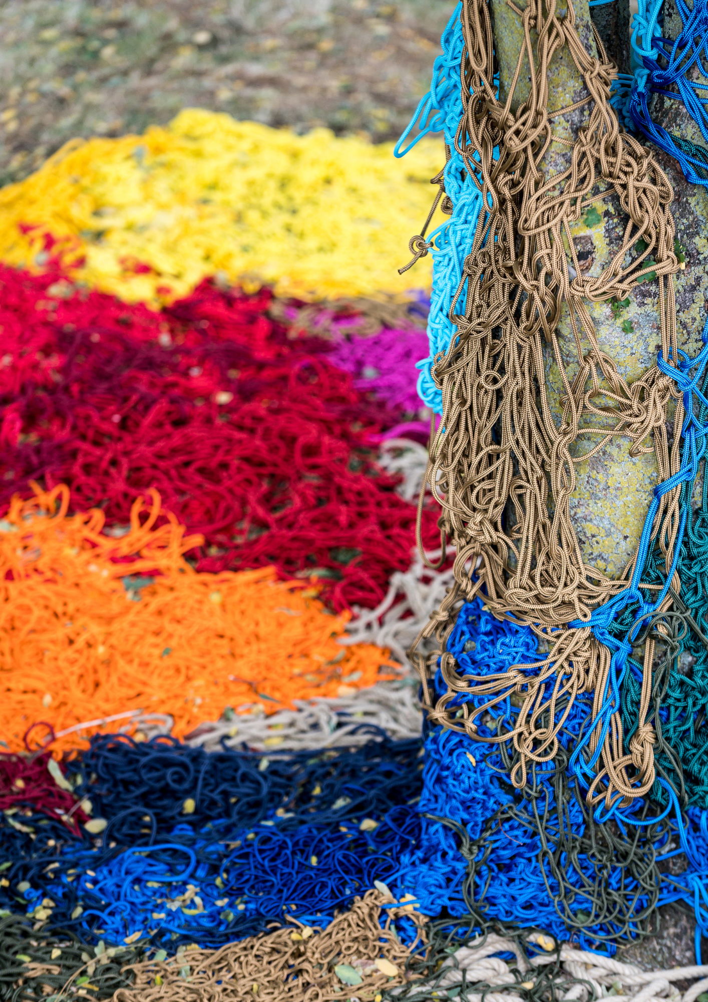 Les Invasives de Sophie Larger et Stéphanie Buttier - Louvre-Lens